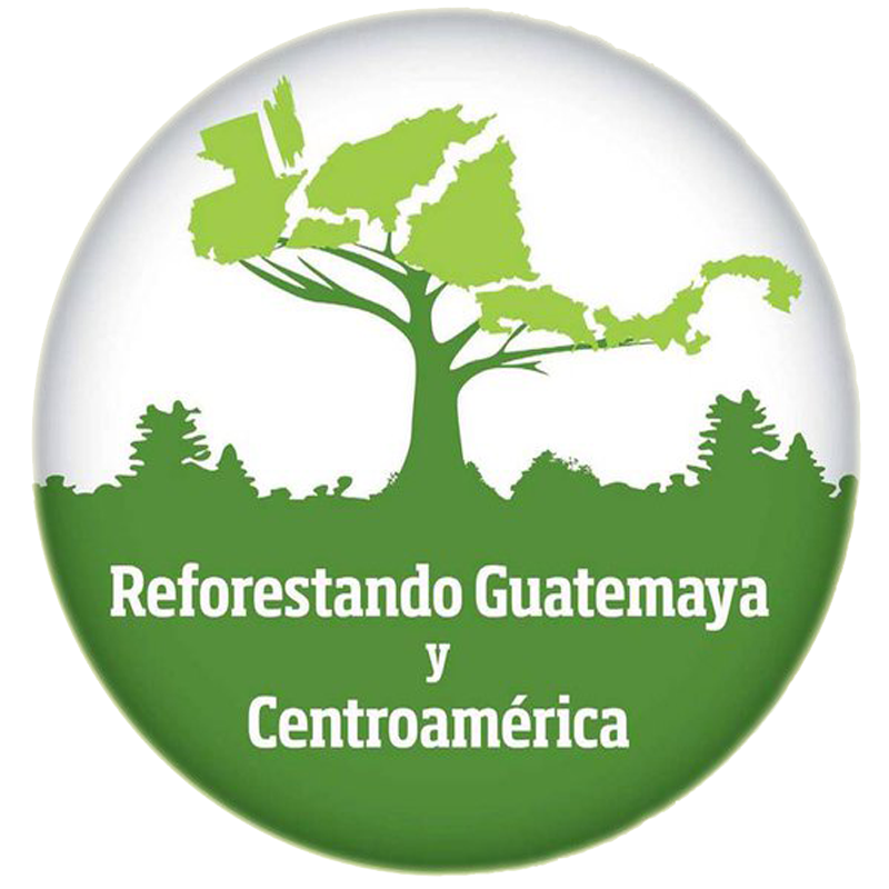Comunicado de prensa: Reforestando Guatemaya y Centroamerica REFCA 2016 ...
